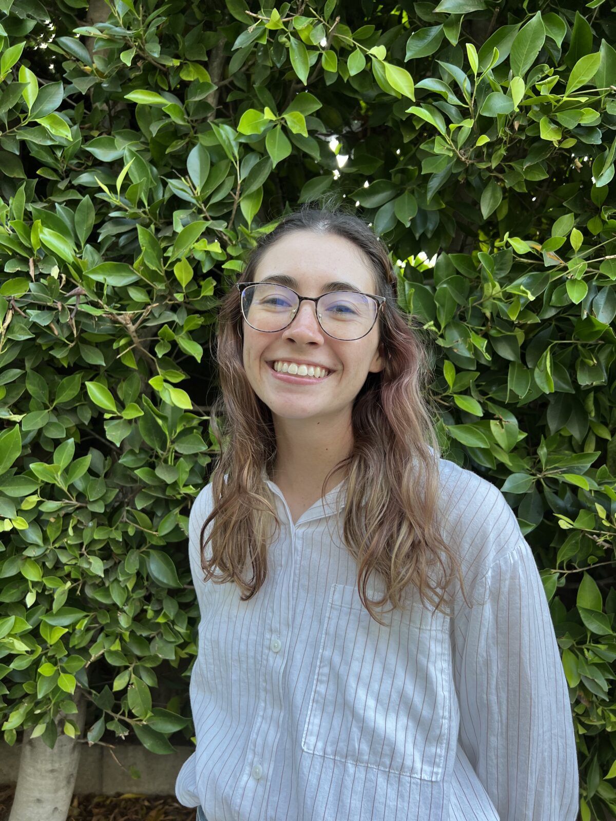 Our Team - SummitWest Environmental, Inc.