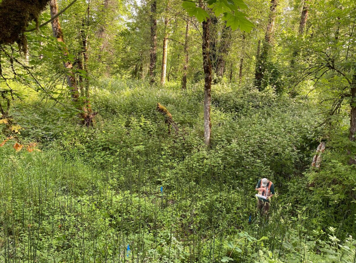 Biological Surveys & Resource Monitoring - SummitWest Environmental, Inc.