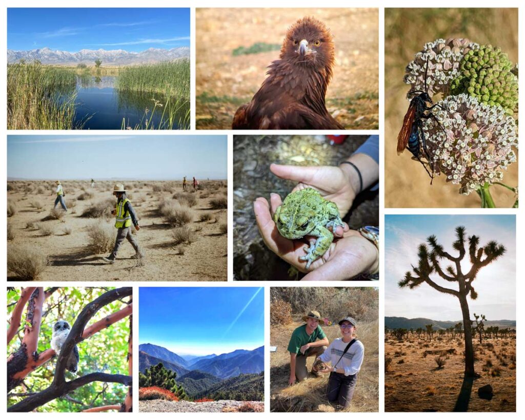 How photography captures the wilderness of today and inspires our ...