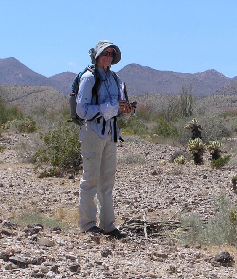 Why You Might Need a Biological Monitor for Your Project - SummitWest ...